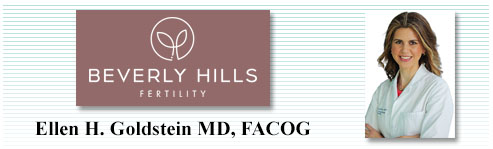 Dr. Ellen H. Goldstein, Fertility Doctor, Reproductive Endocrinologist ...