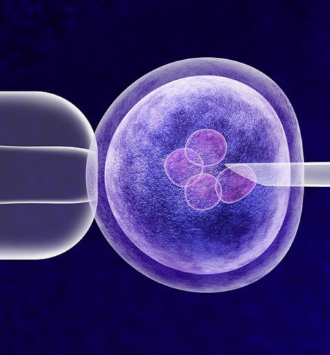 Optimizing Fertility Outcomes: Preimplantation Genetic Testing (PGT ...