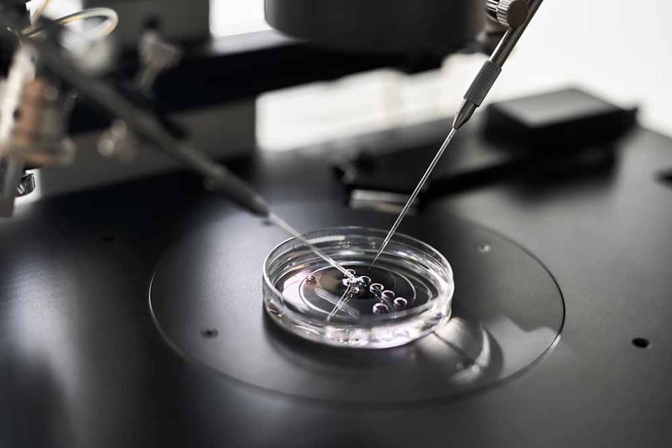 IVF Success Rates and Age | ARC Fertility